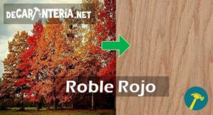 Madera de Roble: Características, Curiosidades y Aplicaciones